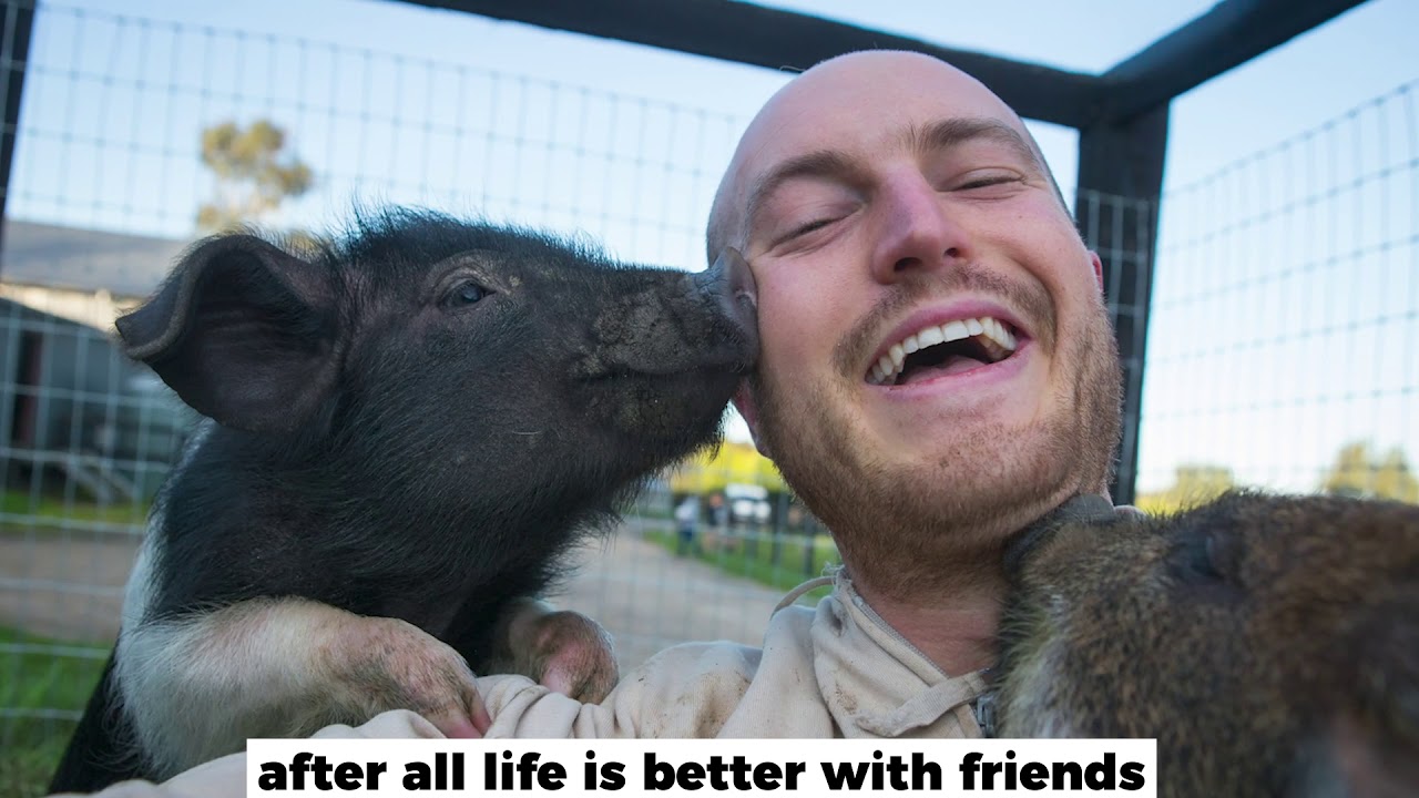 Leon Trotsky... The Pig... The Legend! | Laverabestia.org