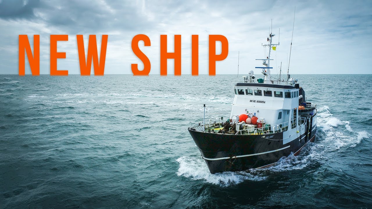 A New Ship! The Sea Eagle Joins Sea Shepherd’s Fleet | Laverabestia.org
