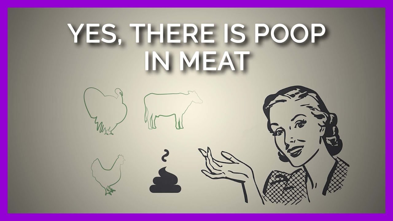 Yes, There Is Poop in Meat | Laverabestia.org