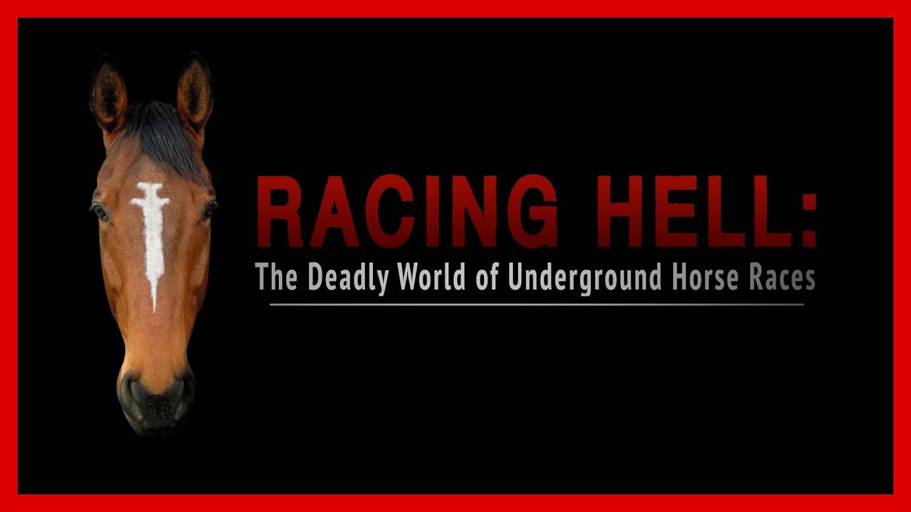 Racing Hell: The Deadly World of Underground Horse Races | Laverabestia.org