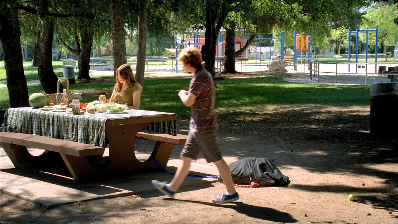 Everyday Dogs | Laverabestia.org