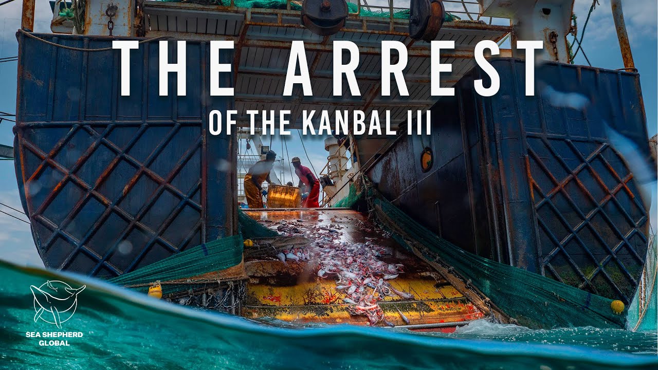 Notorious Super Trawler Arrested In Liberia | Laverabestia.org