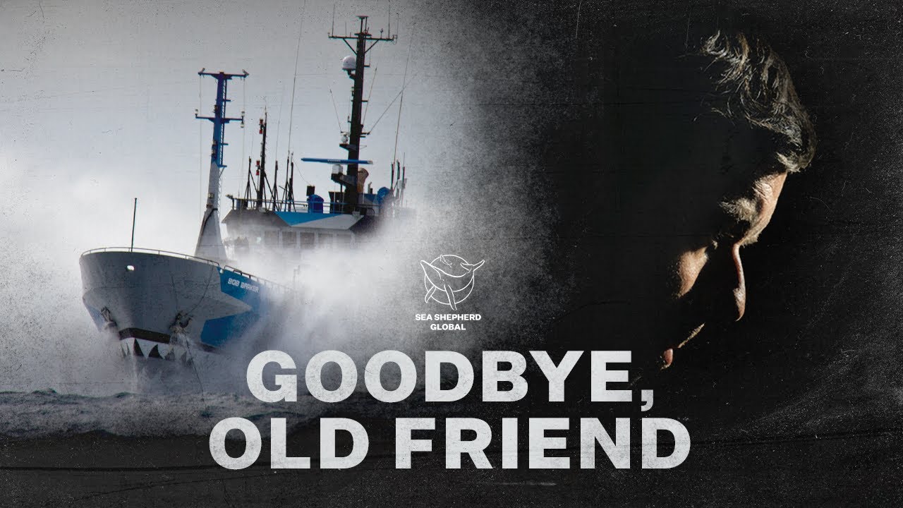 Goodbye, old friend! | Laverabestia.org