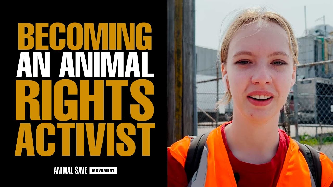 Becoming An Animal Rights Activist | Witnessing a Cow Vigil in Toronto ...